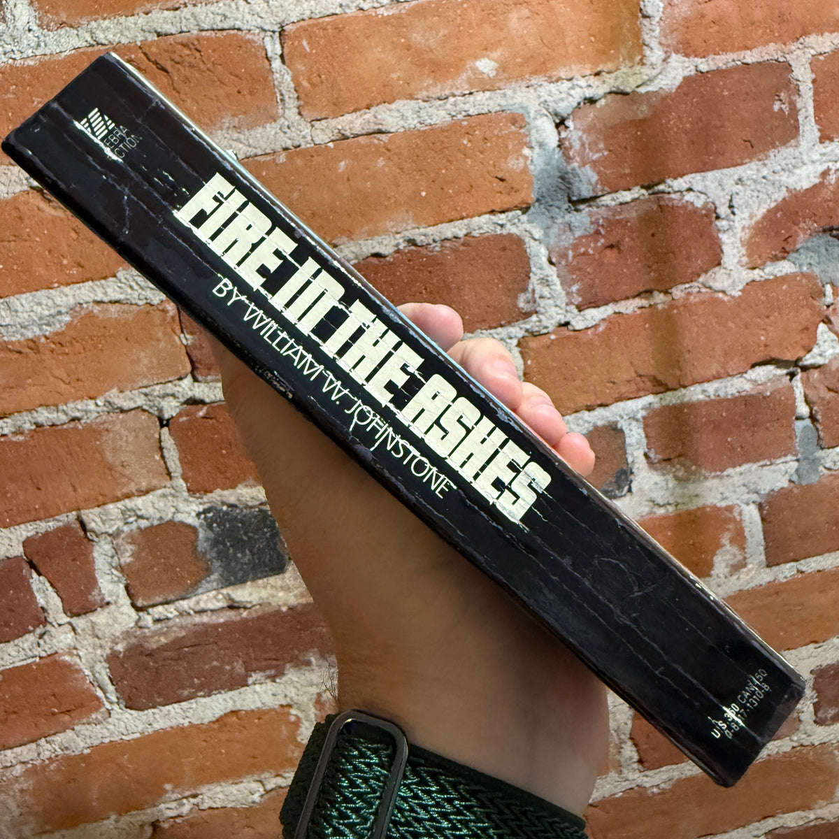 Fire in the Ashes - William W. Johnstone - 1985 3rd Zebra Books Paperb ...