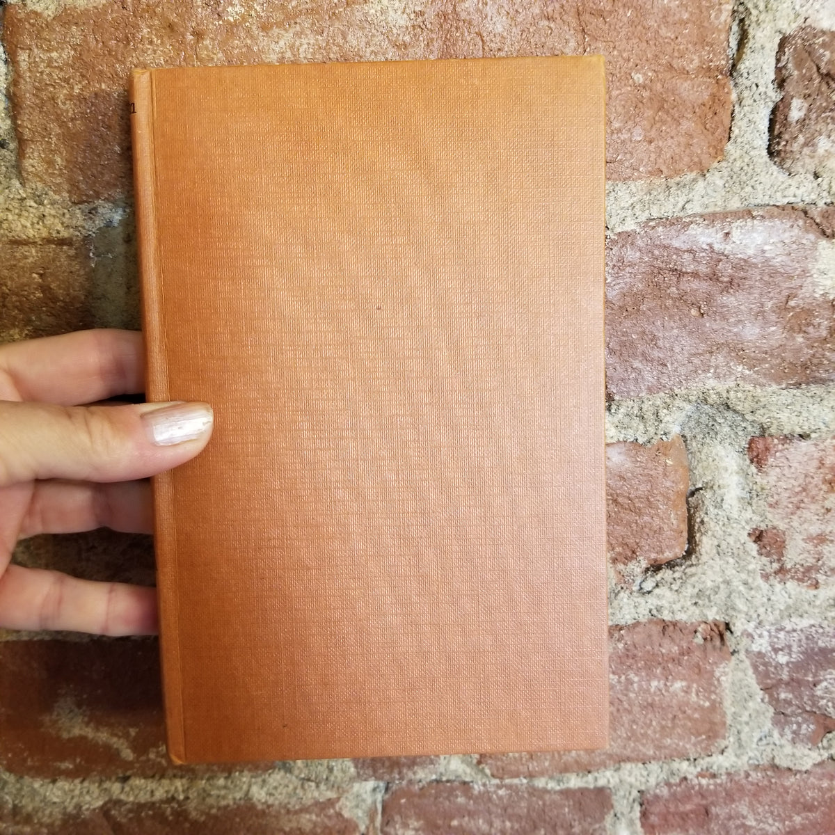 The Monk Who Shook the World: The Story of Martin Luther - Cyril J. Da ...