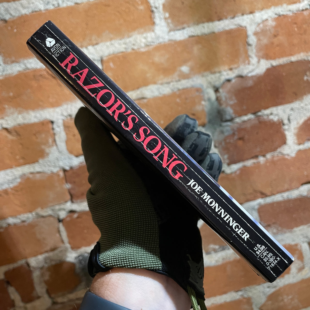 Razor’s Song - Joe Monninger - 1993 Avon Books Paperback – Postmarked ...
