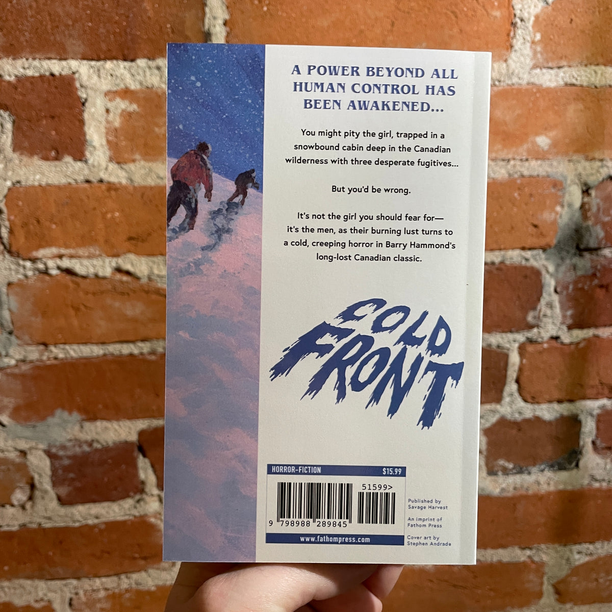 Cold Front - Barry Hammond - 2025 Fathom Press Paperback - Stephen And ...