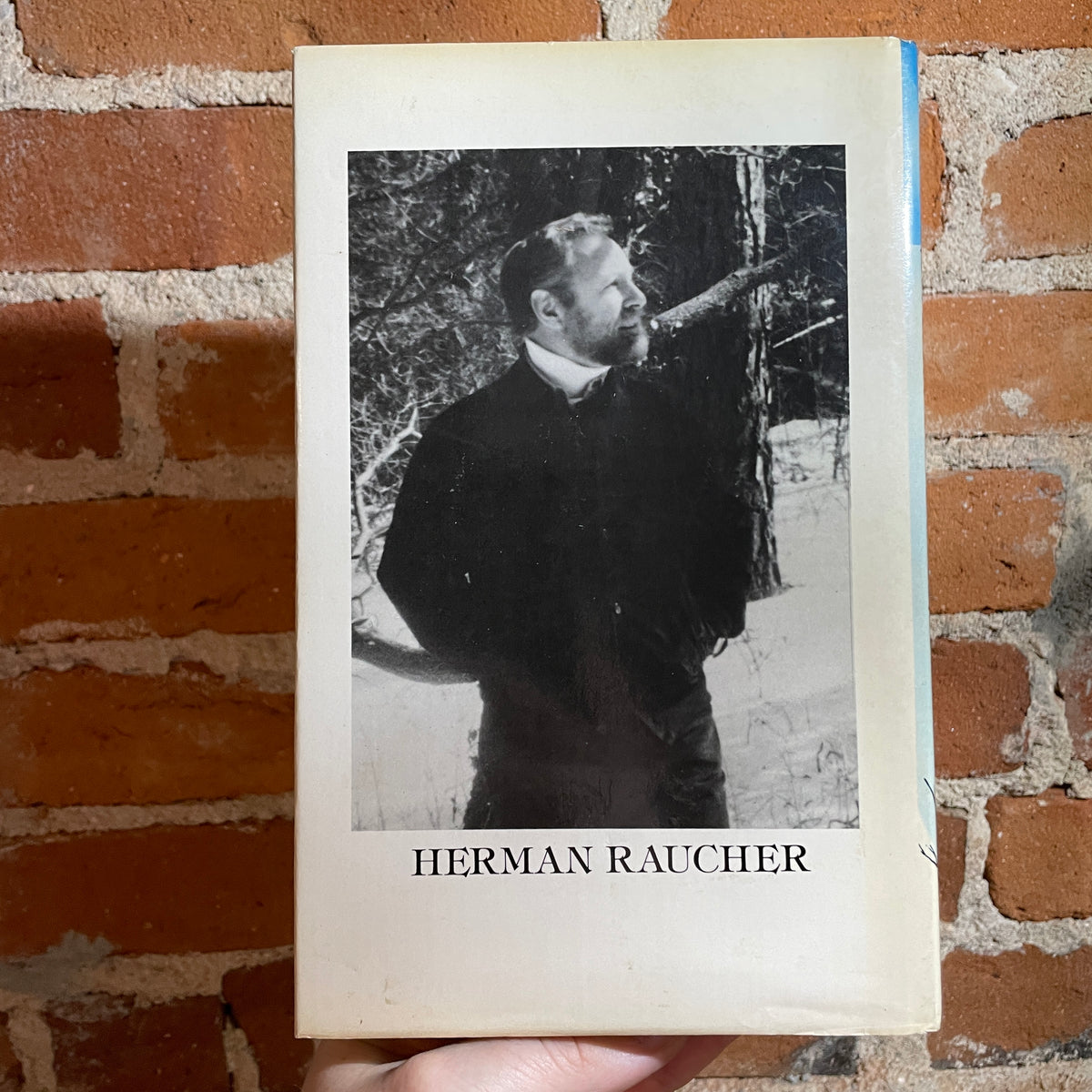 Maynard’s House - Herman Raucher - 1980 Michael Joseph Hardback - Mart ...