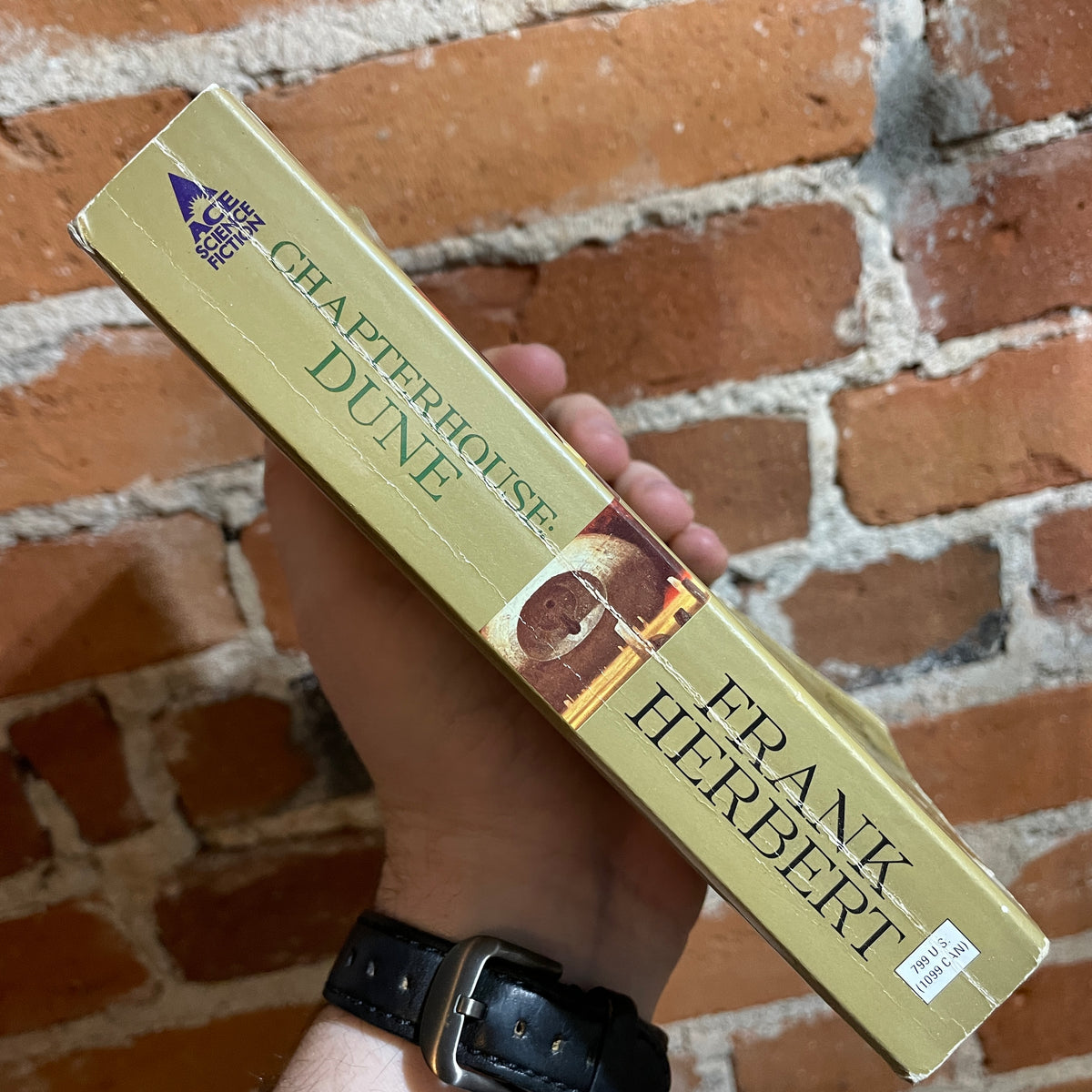 Chapterhouse: Dune - Frank Herbert - Ace Books Paperback Edition ...