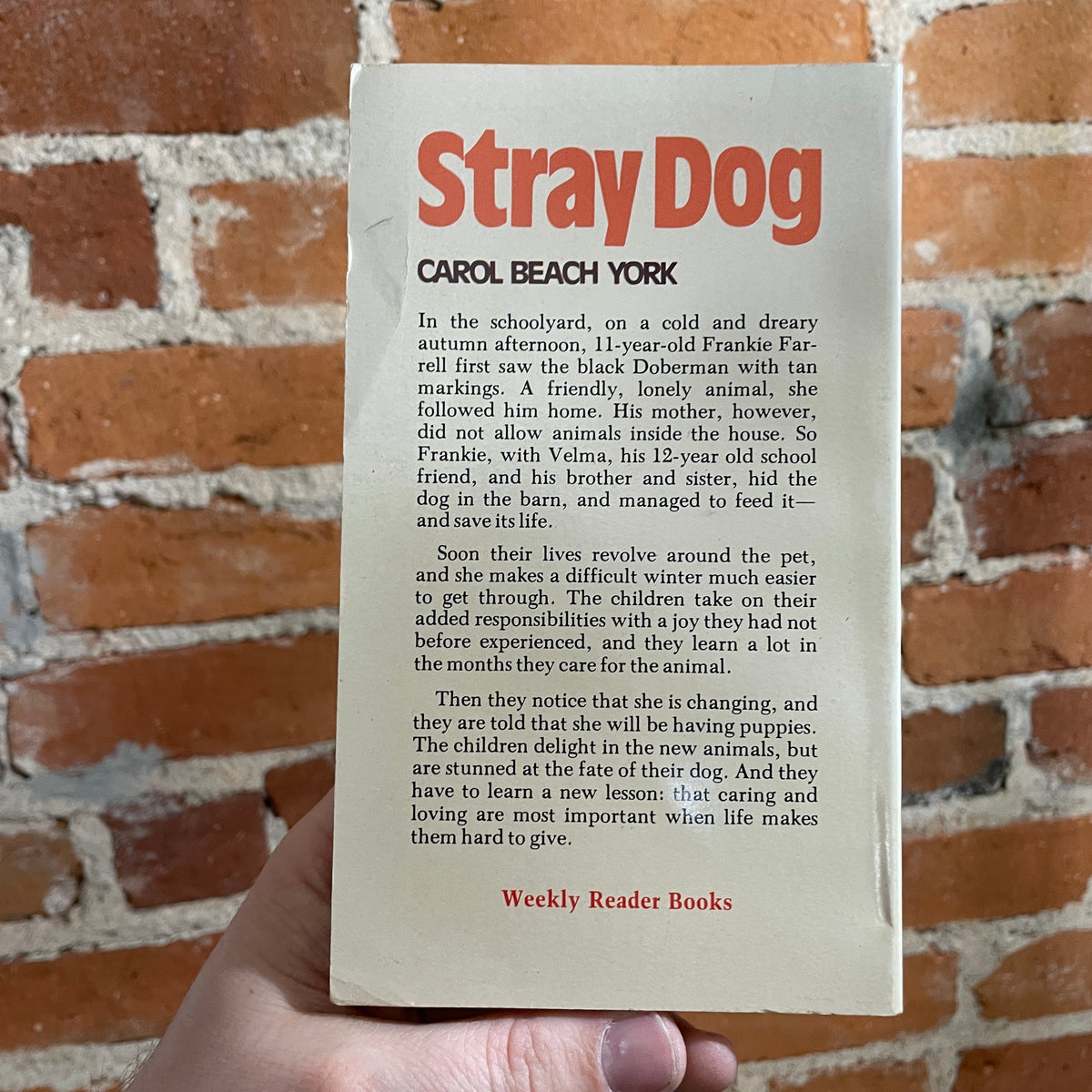 Stray Dog - Carol Beach York - 1981 Paperback – Postmarked from the Stars