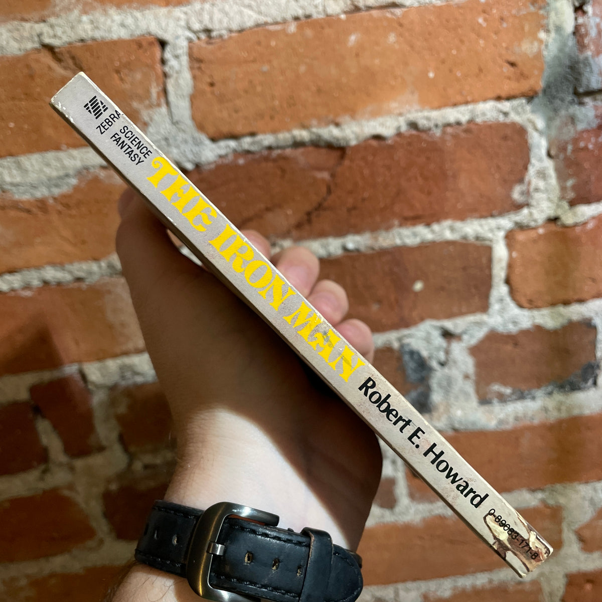 The Iron Man - Robert E. Howard - 1976 2nd Zebra Books Paperbacks - Je ...