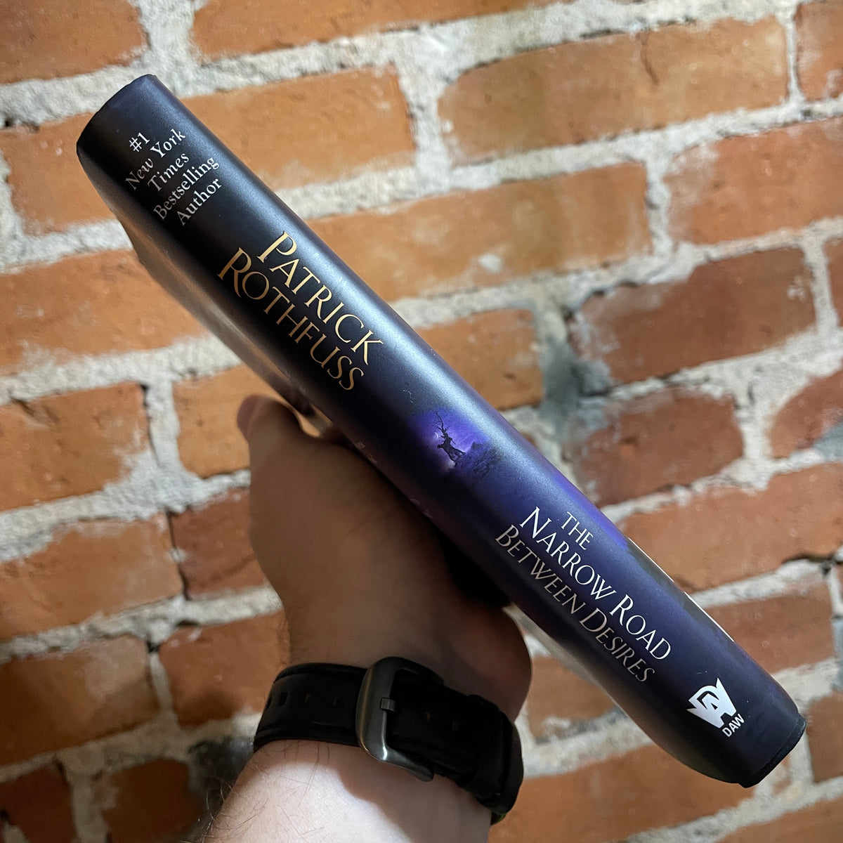 The Narrow Road Between Desires - Patrick Rothfuss Signed Illustrated ...