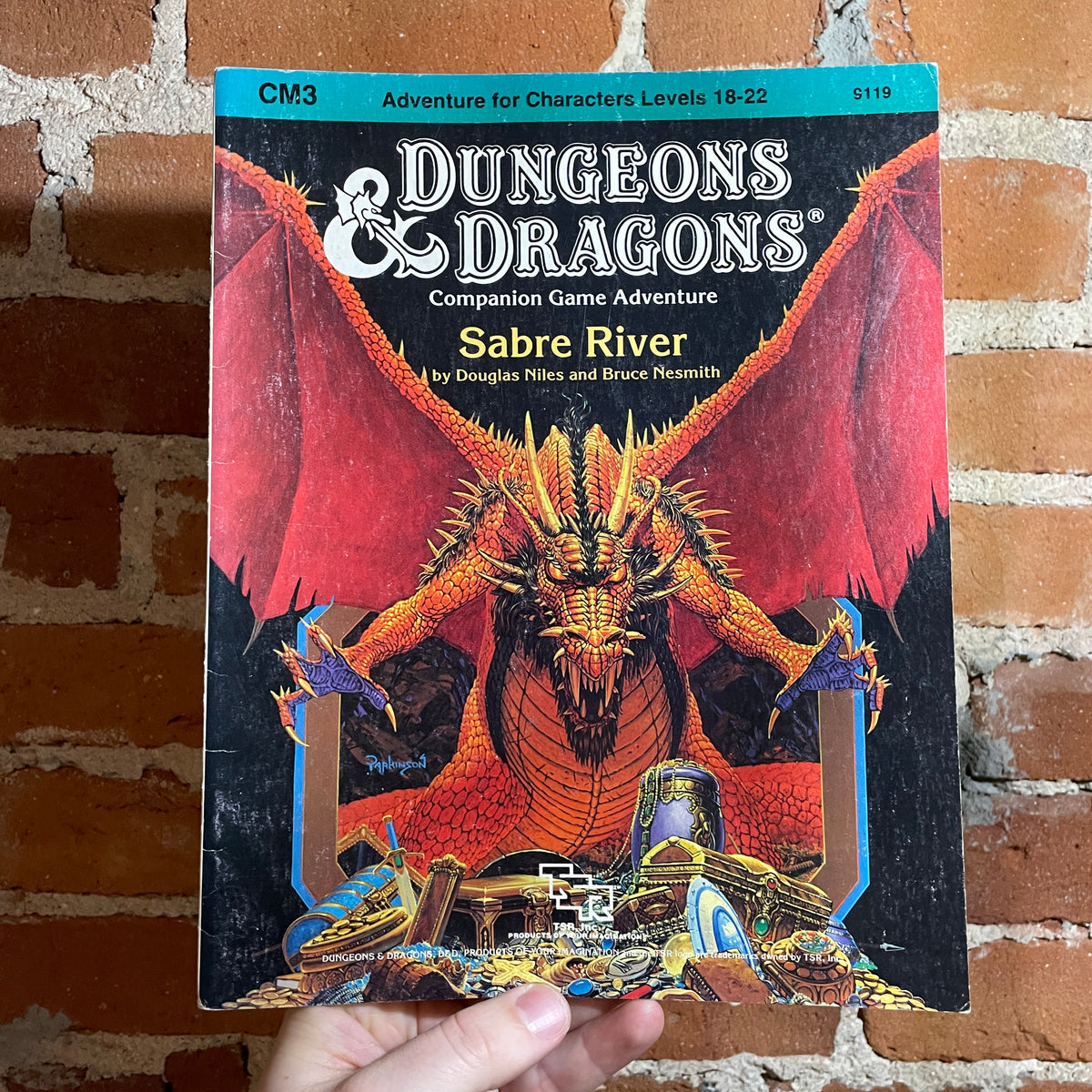 Dungeons & Dragons: Sabre River Module - Douglas Niles and Bruce Nesmi ...