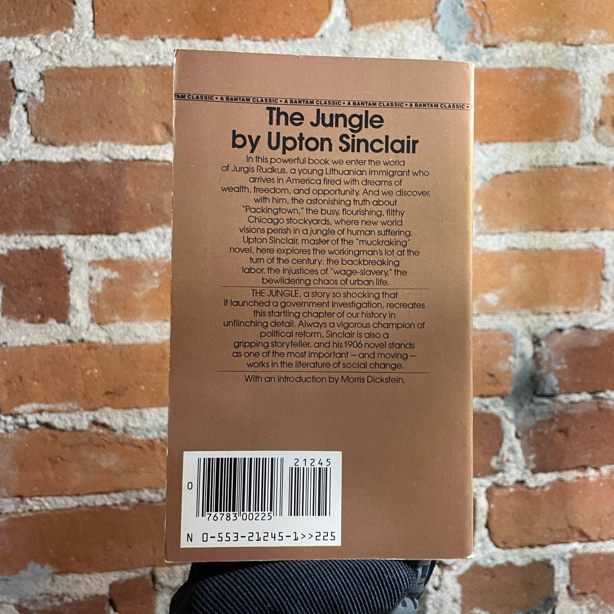 The Jungle - Upton Sinclair - 1981 Bantam Books Paperback – Postmarked ...