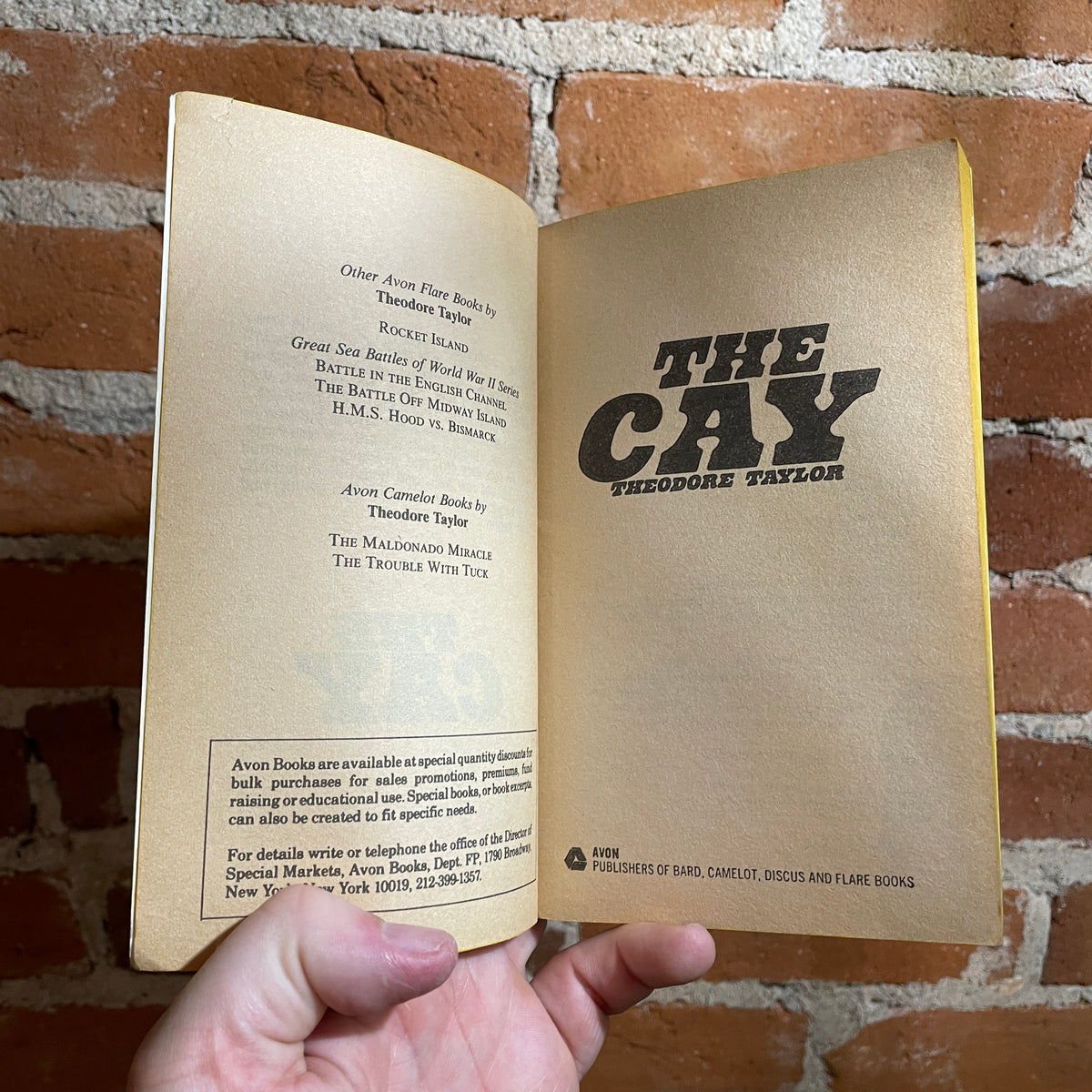 The Cay - Theodore Taylor - 1970 Avon Books Paperback – Postmarked from ...