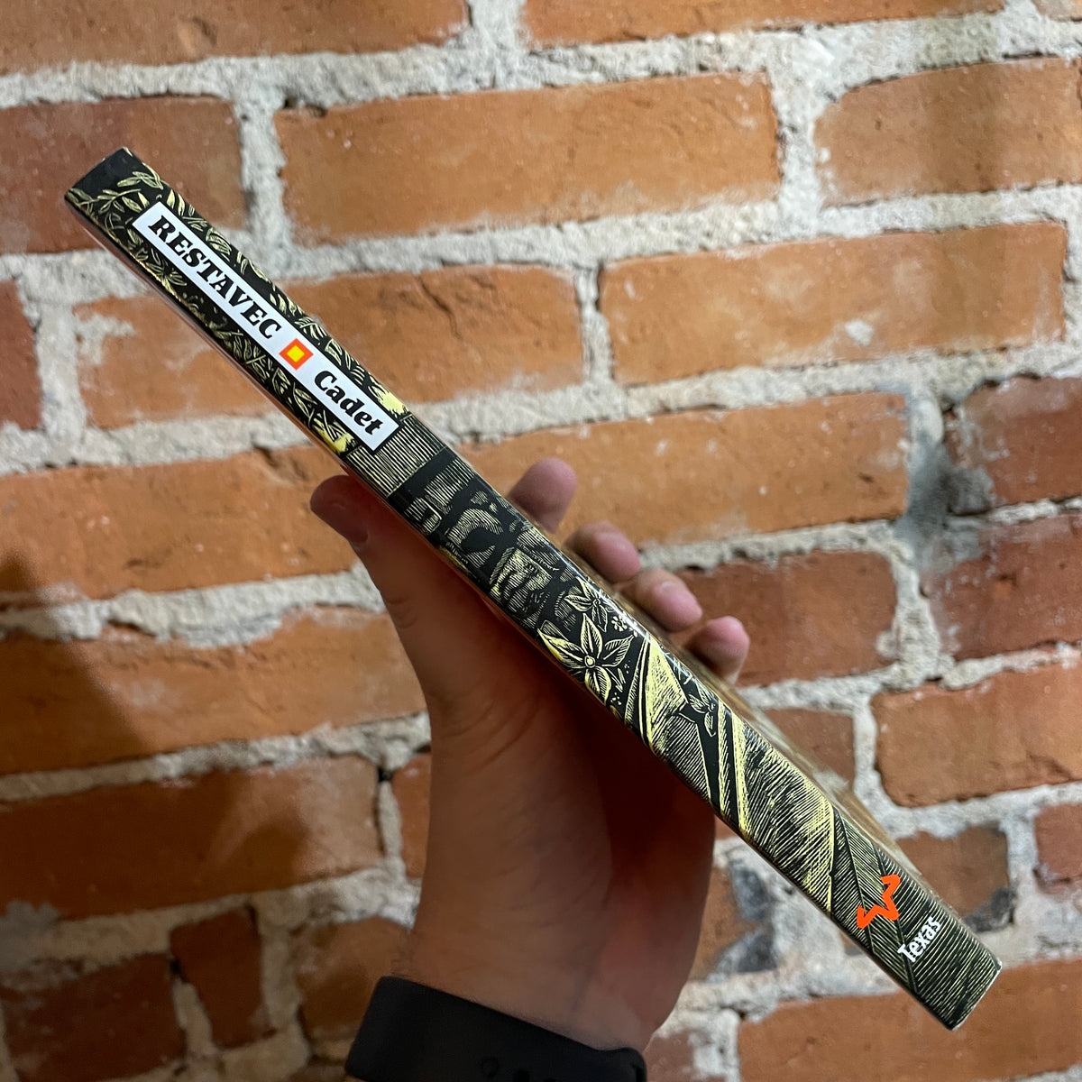 Restavec: From Haitian Slave Child to Middle-Class American - An Autob ...