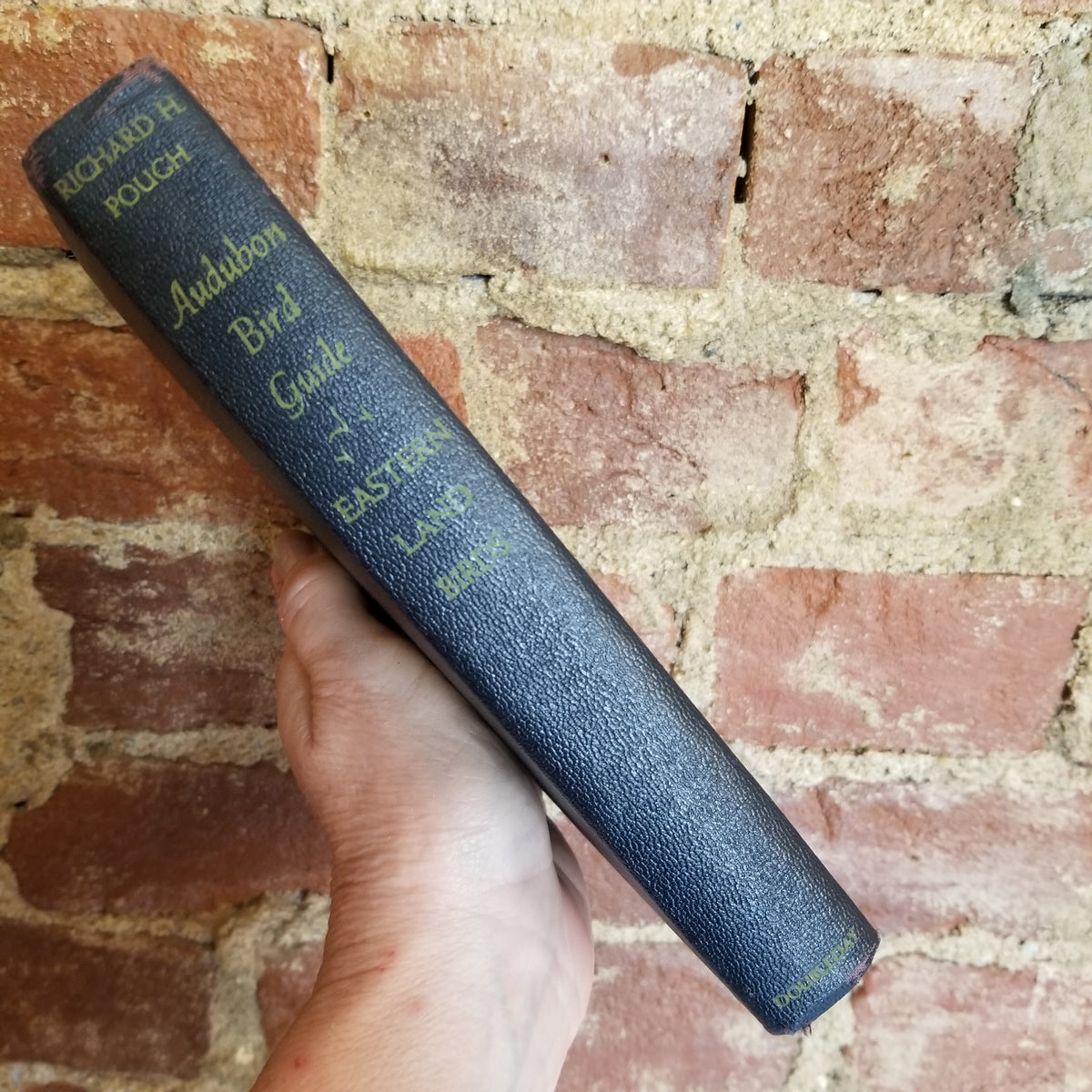 Audubon Bird Guide: Eastern Land Birds - Richard H. Pough 1949 Doubled ...