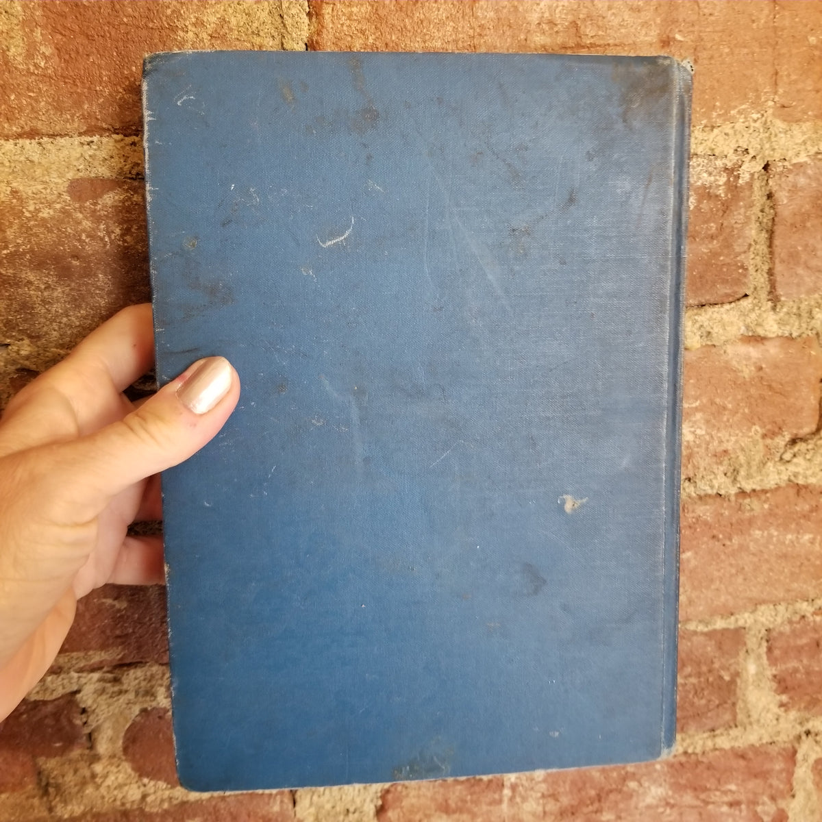 Treasure Island- Windmere Series - Robert Louis Stevenson - 1916 Rand ...