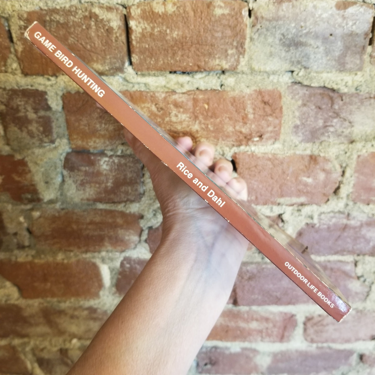 Game Bird Hunting - F. Philip. Rice 1981 Outdoor Life Books vintage pa ...