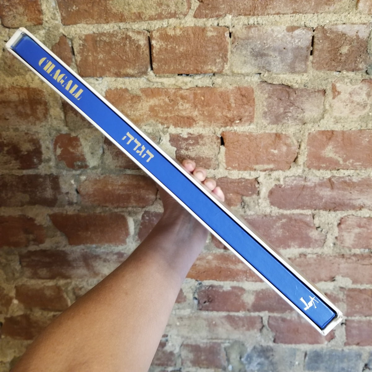 Chagall's Passover Haggadah - Marc Chagall 1987 Leon Amiel Publisher v ...