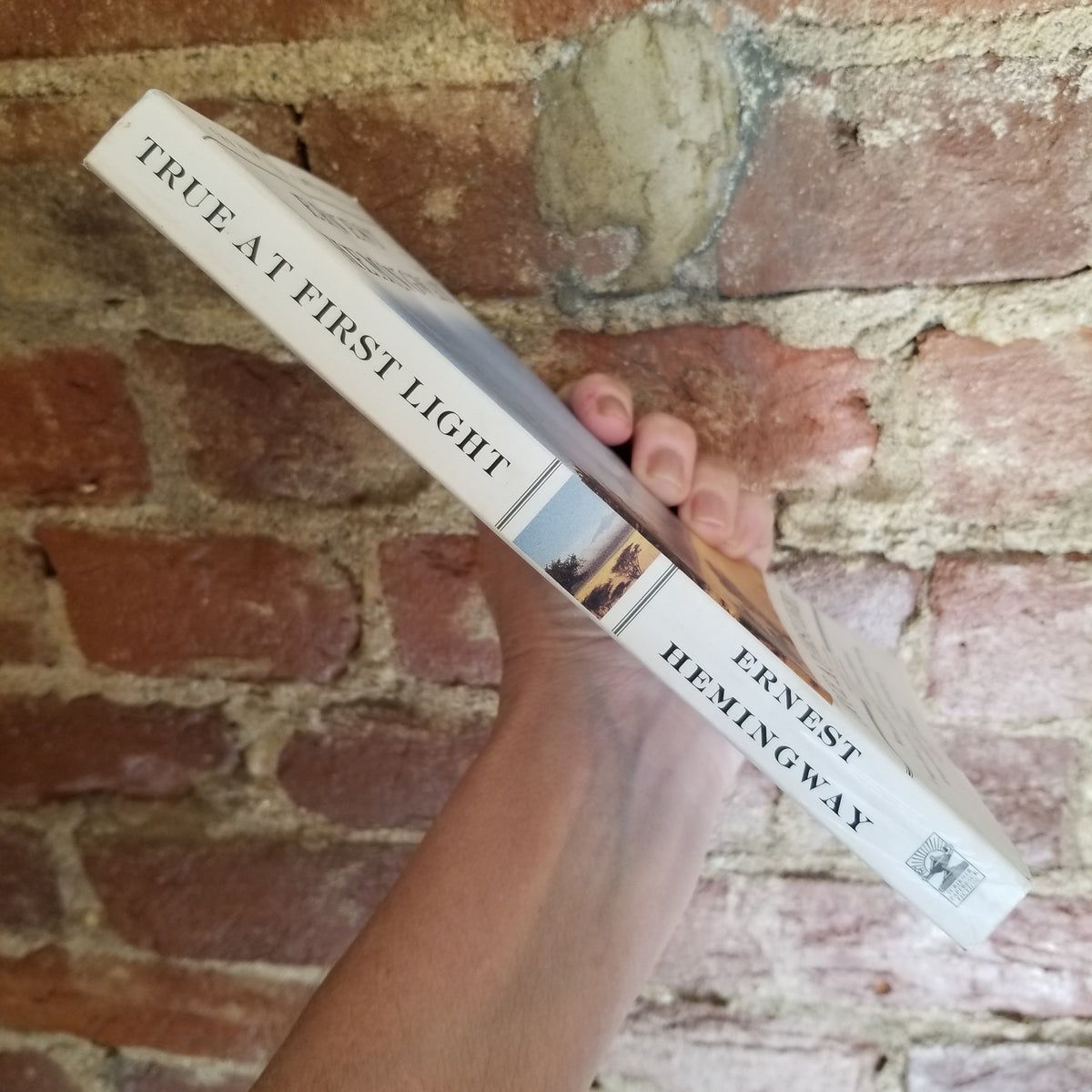 True at First Light - Ernest Hemingway 2000 Scribner Paperback ...