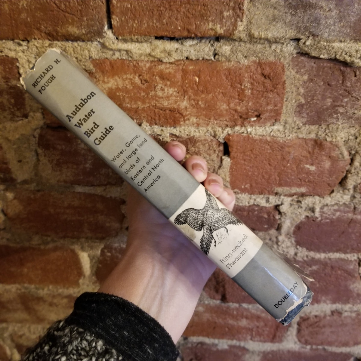 Audubon Water Bird Guide: Water, Game And Large Land Birds - Richard H ...