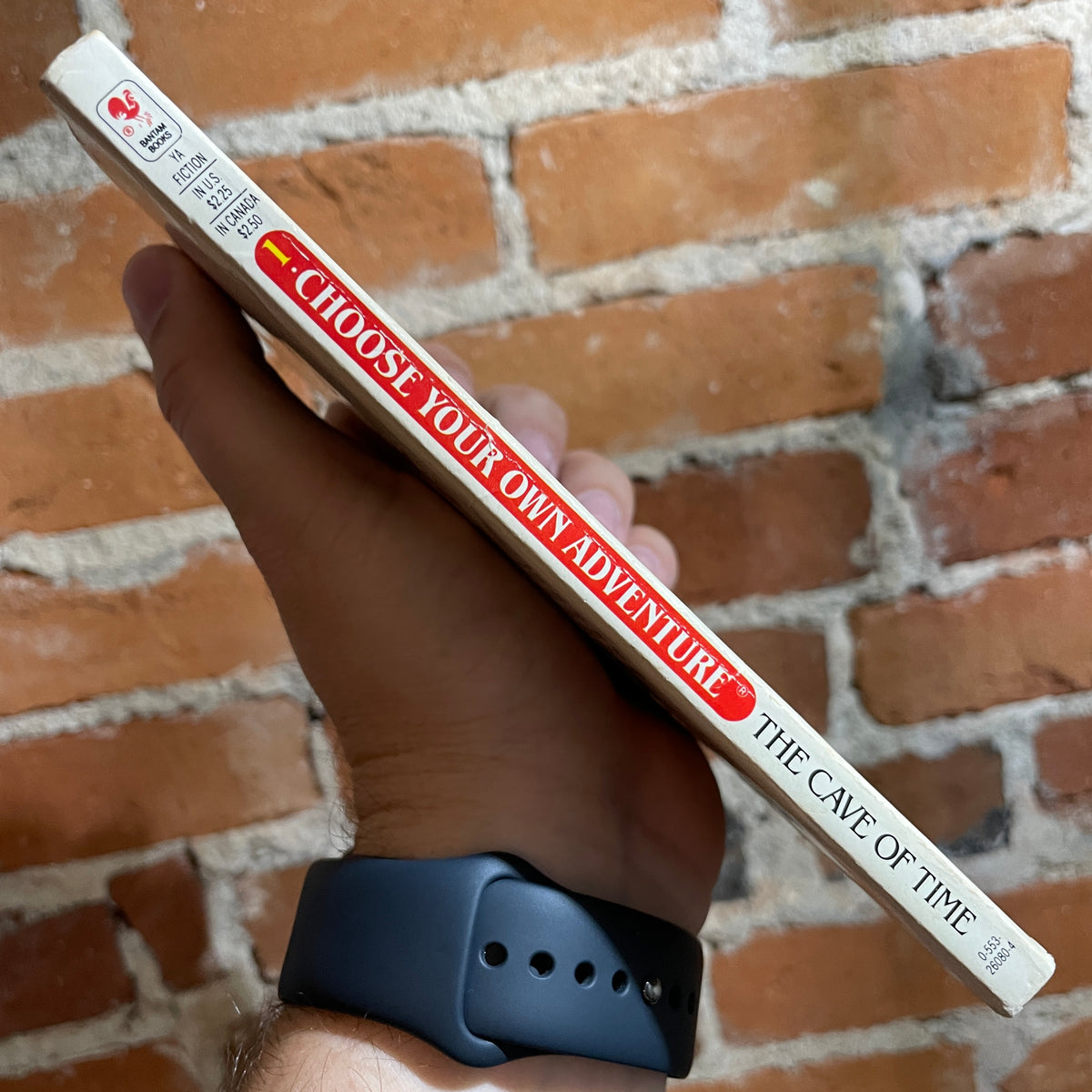 The Cave of Time - Edward Packard - Choose Your Own Adventure 1 19th p ...