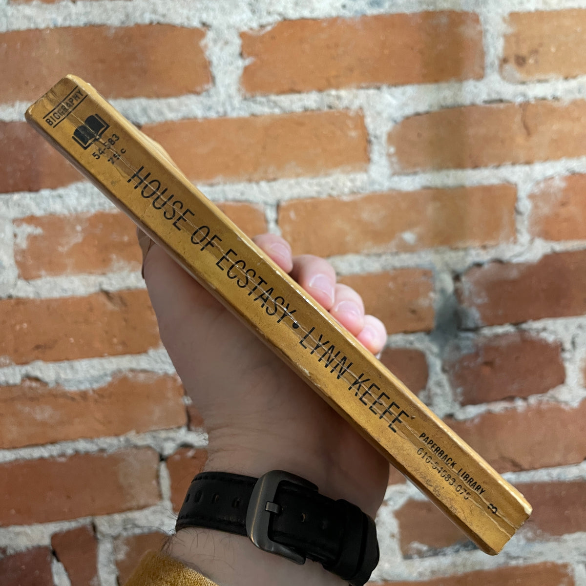 House of Ecstasy - Lynn Keefe - 1967 Paperback – Postmarked from the Stars