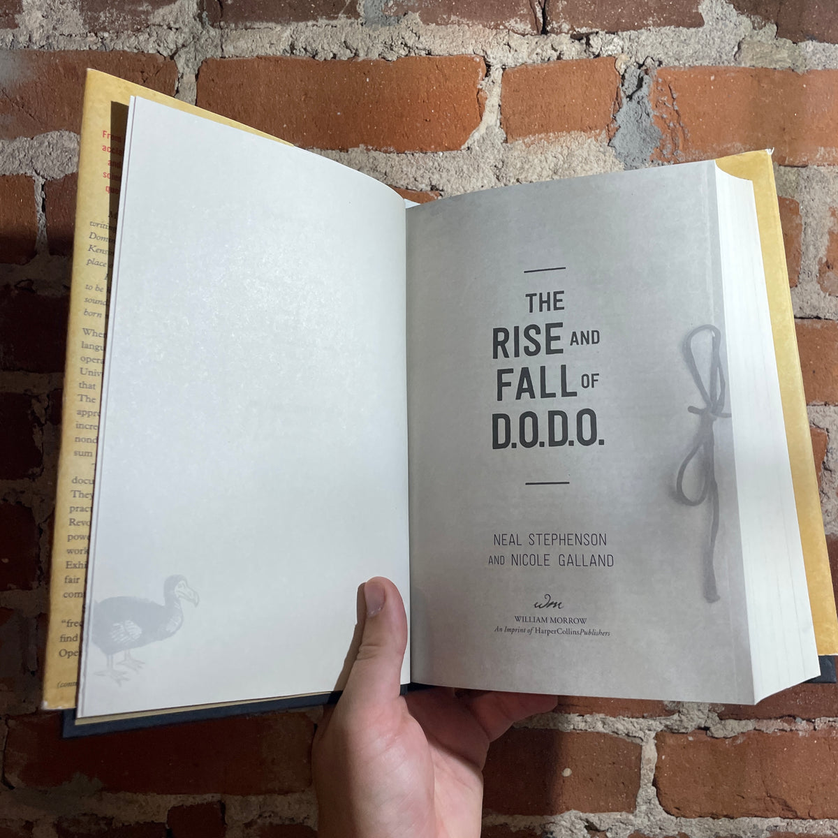 The Rise and Fall of the Dodo - Neal Stephenson & Nicole Galland - 1st ...