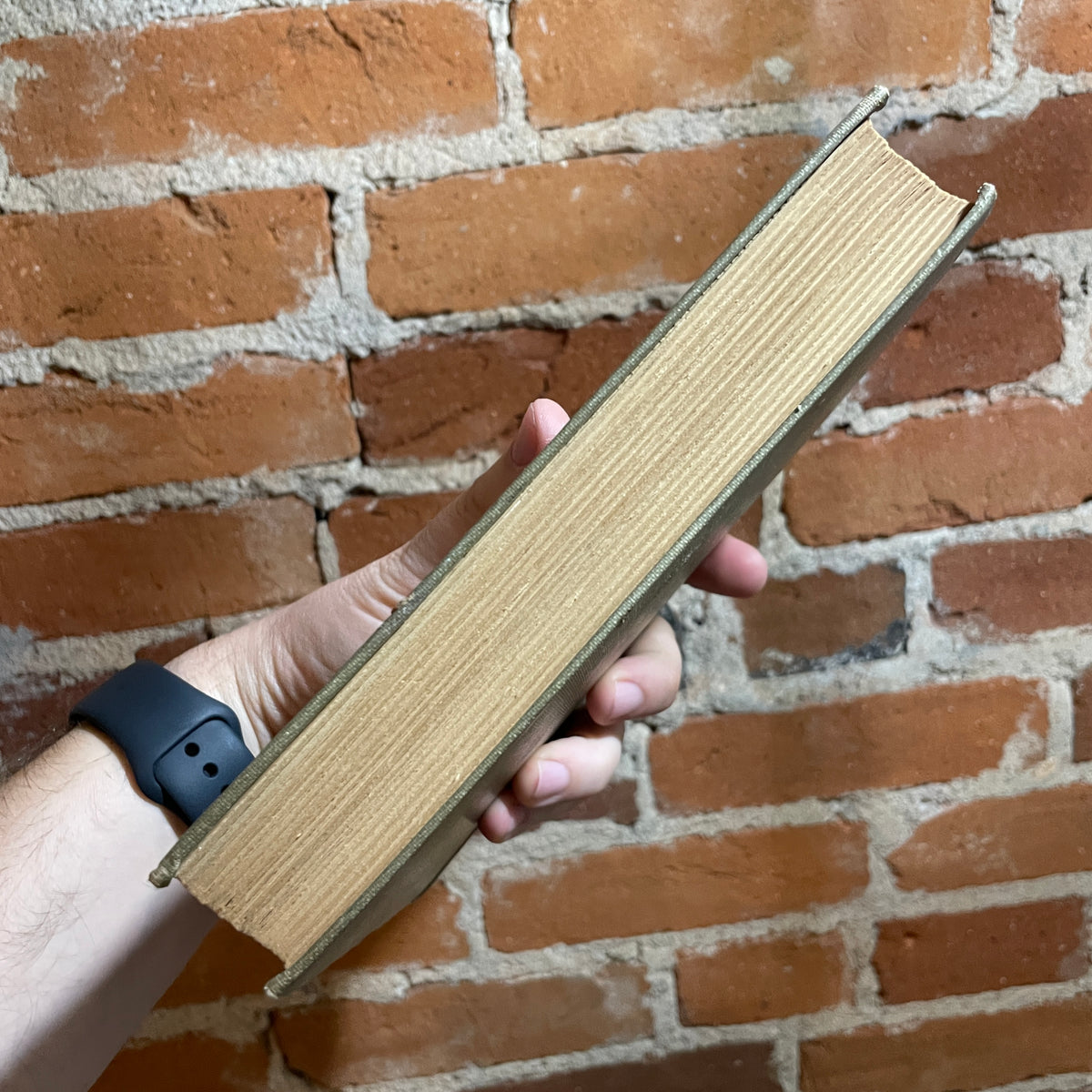 The Saddle Boys of the Rockies - Captain James Carson - 1913 Illustrat ...