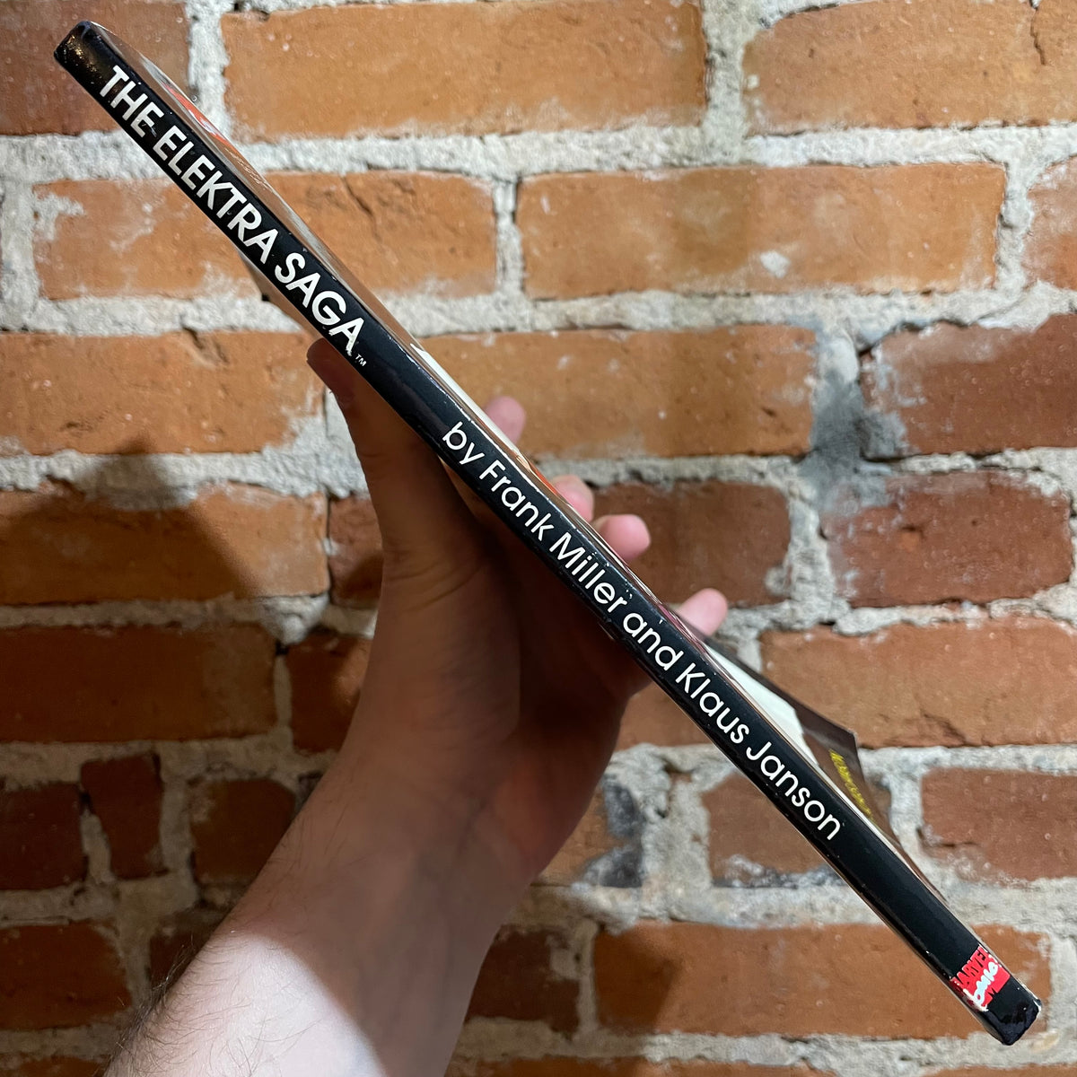 The Elektra Saga - Frank Miller, Klaus Janson (Illustrator) - 1989 Pap ...