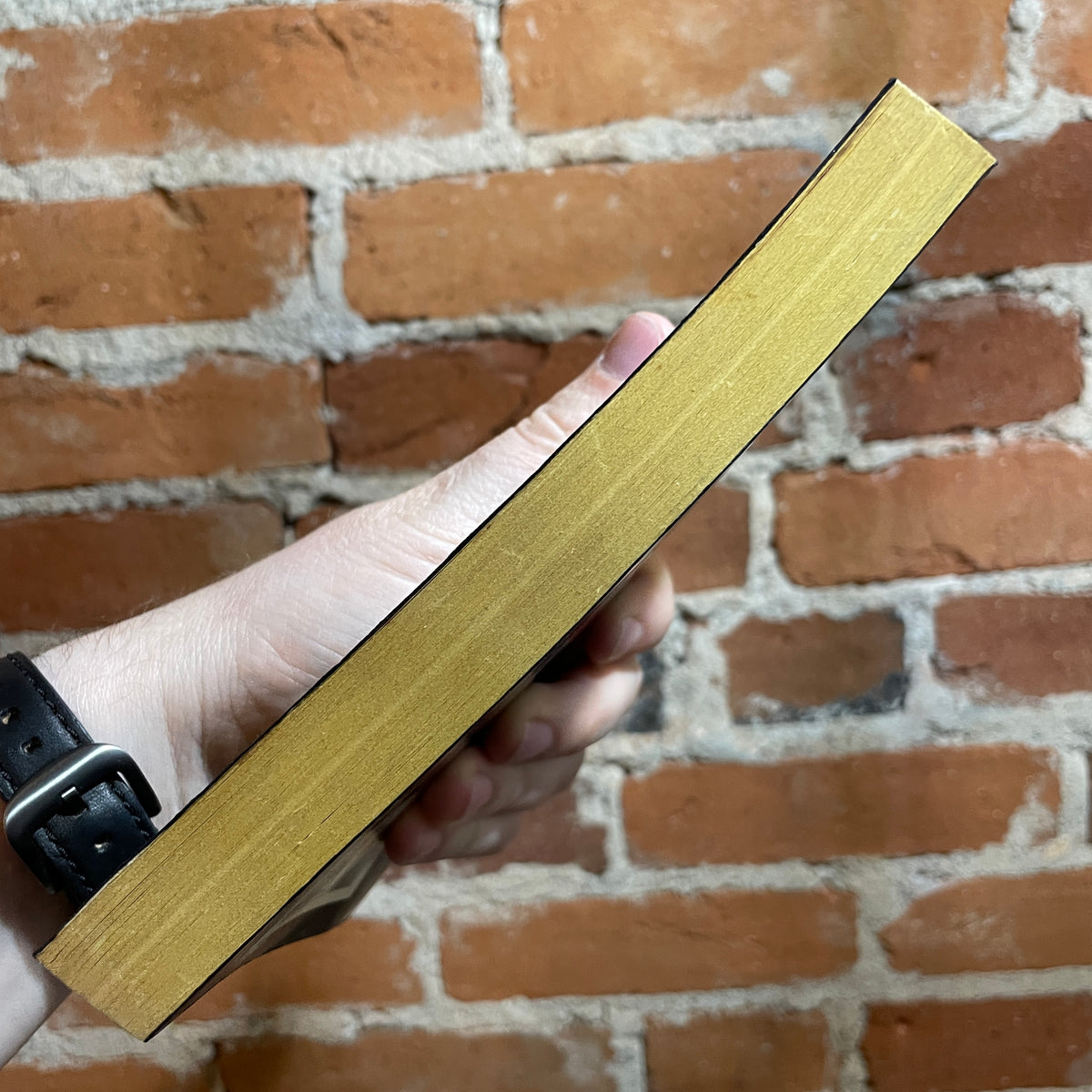 Blight - Mark Sonders - 1981 Ace Books Paperback – Postmarked from the ...