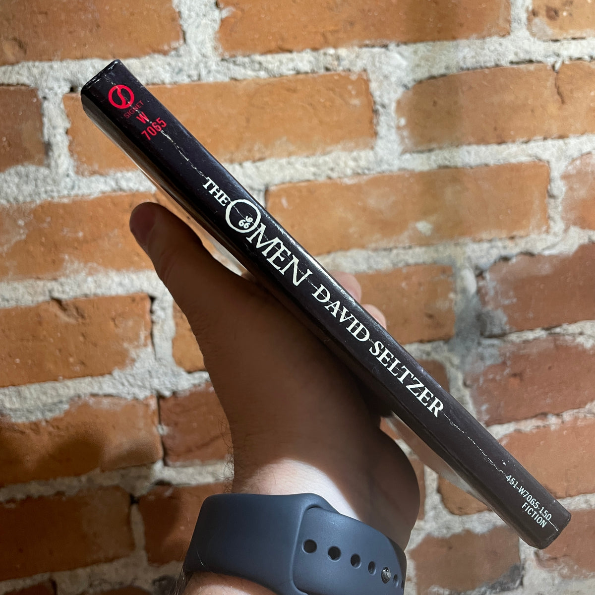 The Omen - David Seltzer - 1976 Signet Books Paperback – Postmarked ...